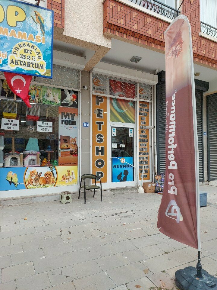 Petshop Pursaklar Petshop, Ankara, foto