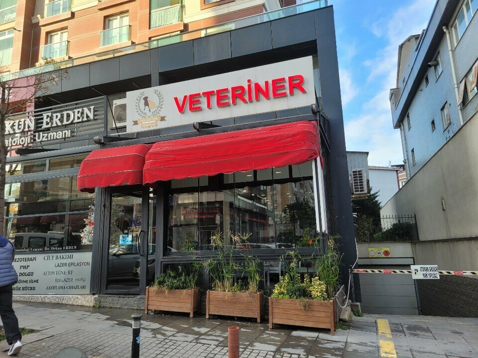 Veteriner klinikleri Güneşli Park Veteriner, İstanbul, foto