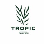 Tropic flowers (Platonov street No:13), çiçekçiler  Voronej'den