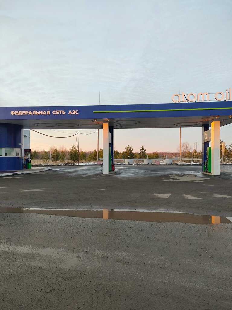 Benzin istasyonu Atom Oil, Sverdlovskaya oblastı, foto