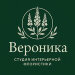 Вероника (Bisernaya ulitsa No:17), yapay bitki ve çiçek  Krasnodar'dan
