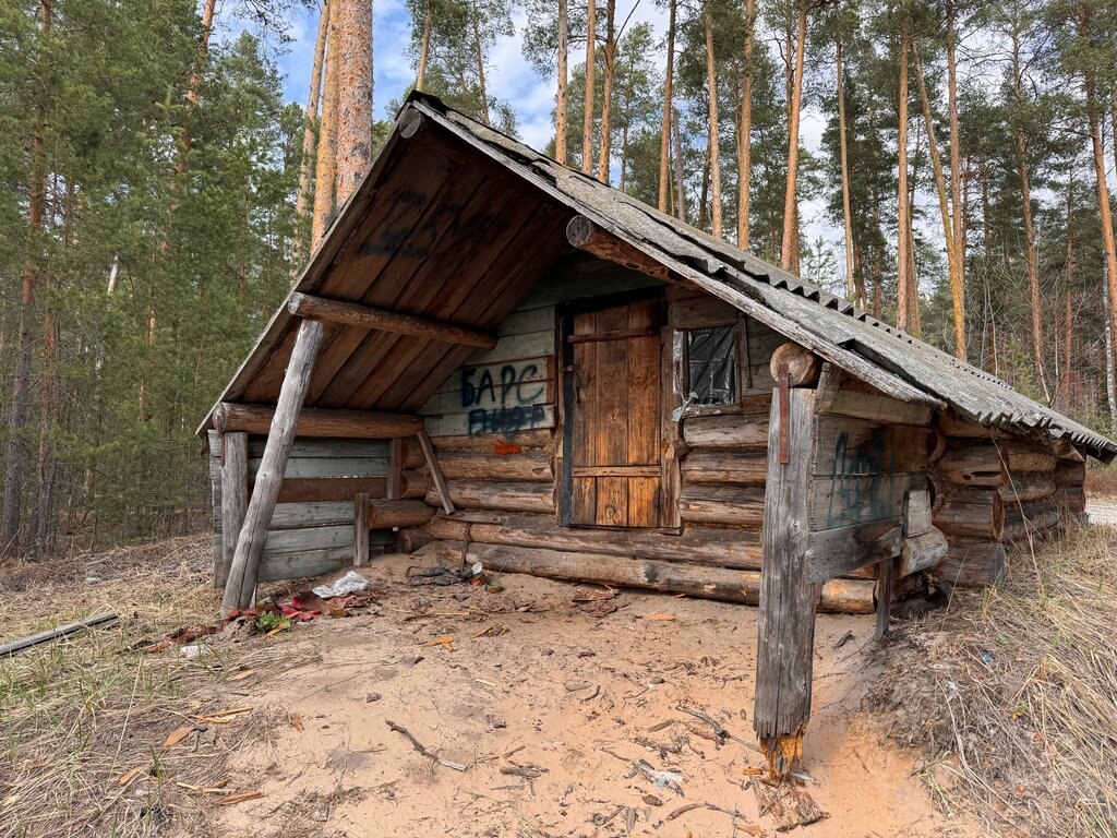 Resort oteller, tesisler Зимница, Nijegorodskaya oblastı, foto