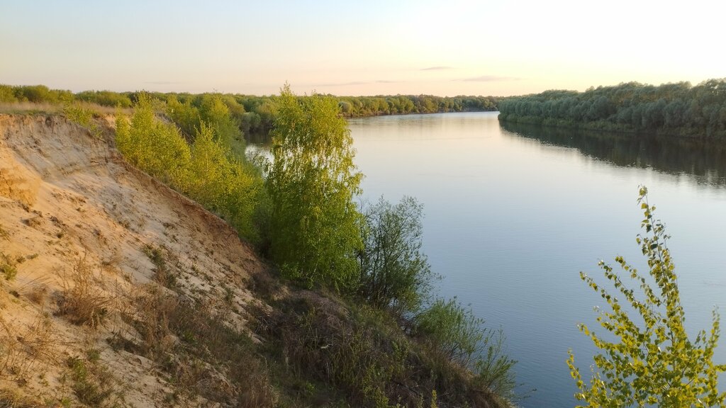 Plaj Пляж, Riazanskaya oblastı, foto