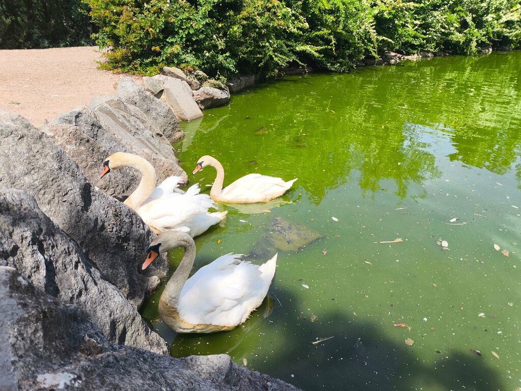 Giriş işareti Дендрозоопарк, Aluşta, foto