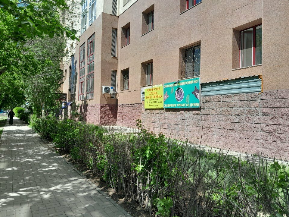 Petshop Cheshirskiy Kot, Astana, foto