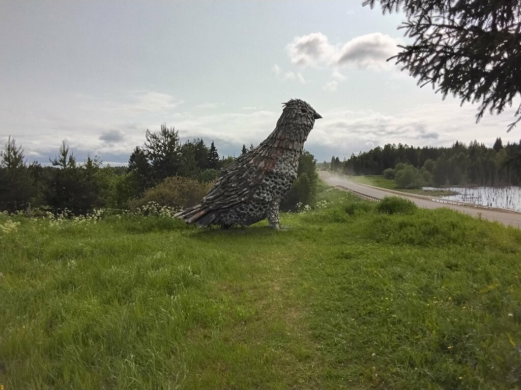 Turistik yerler Арт-объект Пинежский рябчик, Arhangelskaya oblastı, foto