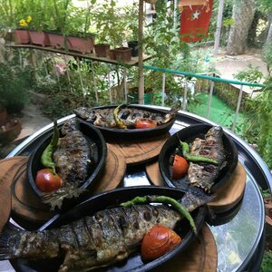 Şelale Kafe Aile Çay Bahçesi (Karaman, Ermenek, Değirmenlik Mah., Prof. Dr. Hüseyin Göral Cad.), kafe  Ermenek'ten