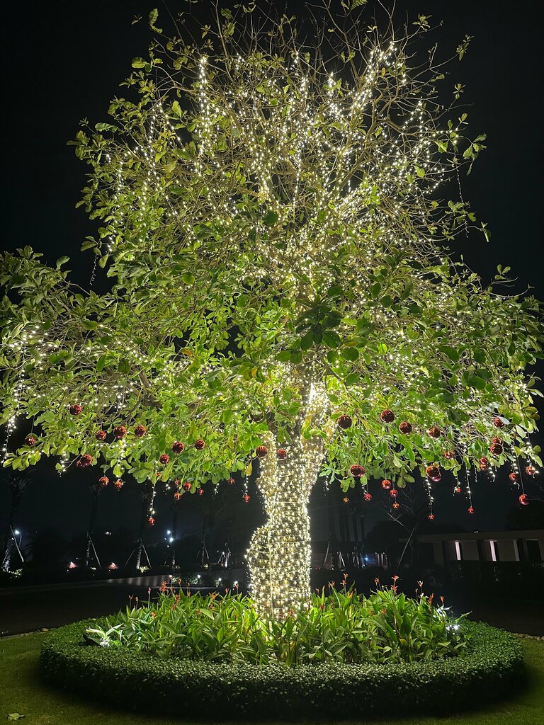 Otel Hyatt Regency Danang Resort And SPA, Da Nang, foto