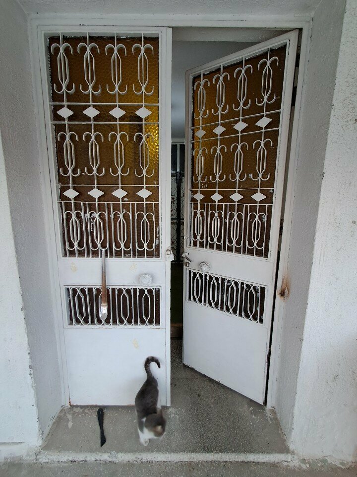 Cami Üreğil Çoraklık Tepebaşı Cami, Ankara, foto