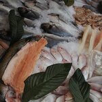 Yelken Balıkçılık (Mersin, Mezitli, Menderes Mah., Limon Cad., 4), restoran  Mersin'den