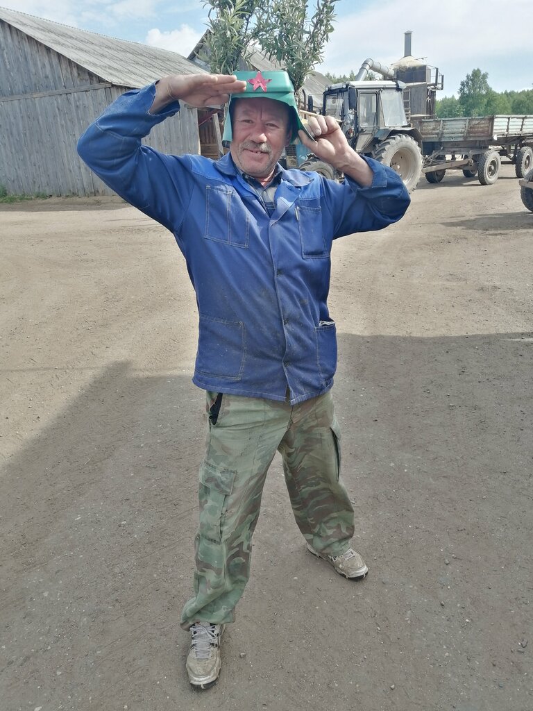 Ahşap endüstrisi Пилорама, Yaroslavskaya oblastı, foto