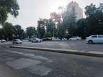 6. Doğumhane (Tashkent, Yashnabad City District, Shahrisabz Street), toplu taşıma durağı  Taşkent'ten