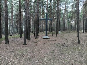 Погибшим венгерским военнопленным (Sverdlovsk Region, munitsipalny okrug Pervouralsk, zakaznik Lesa na geograficheskoy granitse Yevropy i Azii), anıt, heykel  Sverdlovskaya oblastından