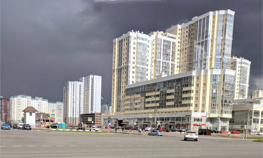 Dokümantasyon ve arşivleme 1С-Юг, Saint‑Petersburg, foto