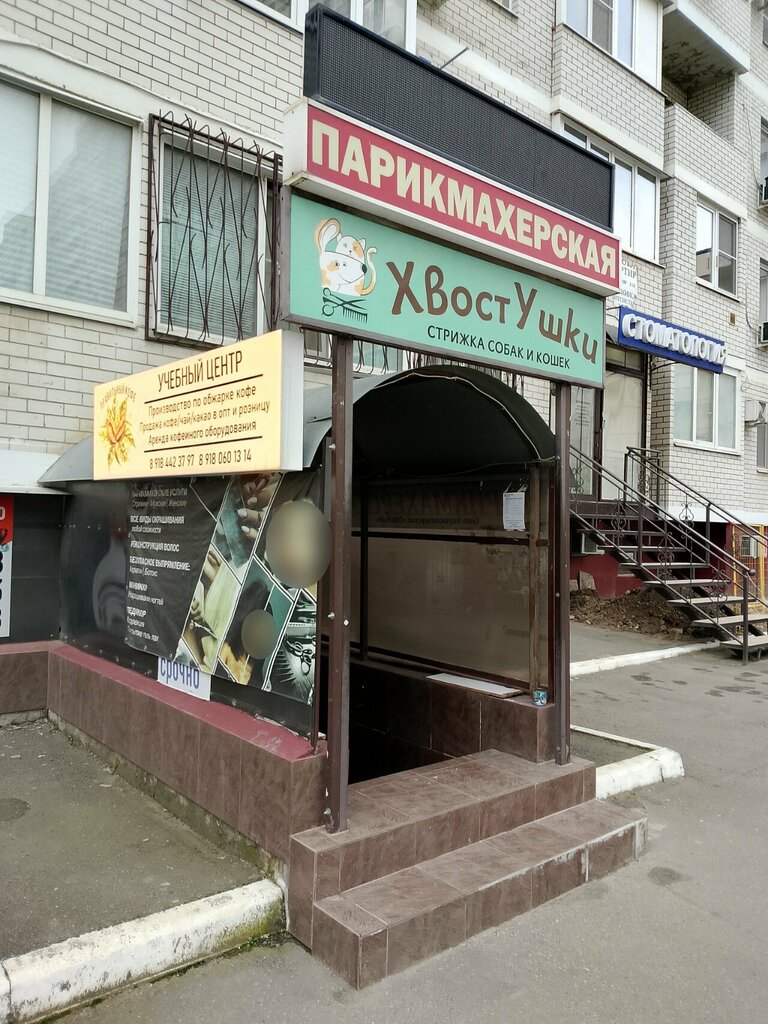 Evcil hayvan kuaförleri ХвостУшки, Krasnodar, foto