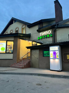 Dve Bochki (2nd Futbolniy Drive No:4А, District of Rastorguevo), bar  Vidnoye'den