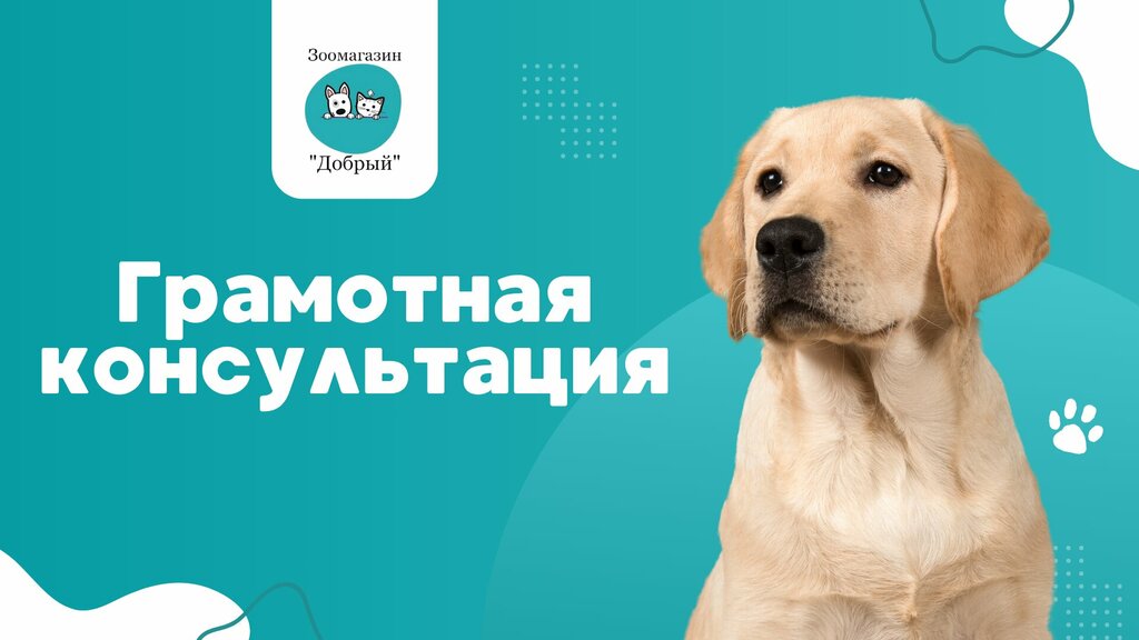 Petshop Dobryj, Vladivostok, foto