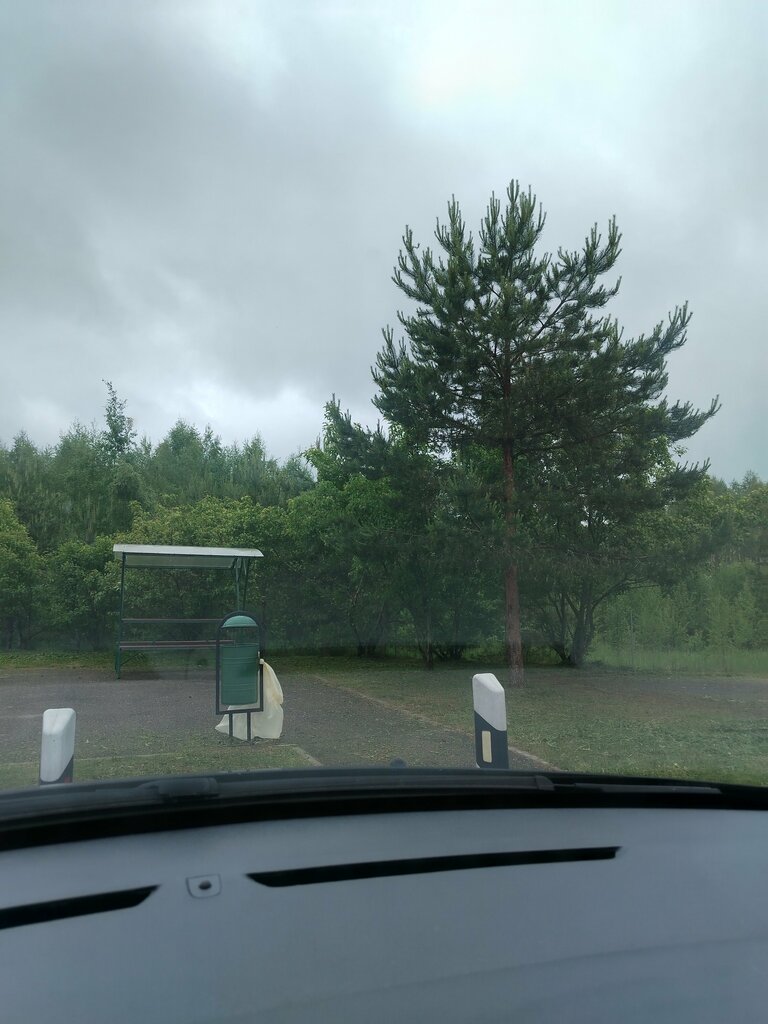 Yol kenarı dinlenme alanı Придорожная зона отдыха, Tverskaya oblastı, foto