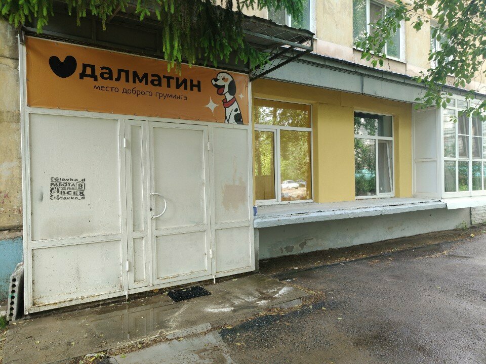 Evcil hayvan kuaförleri Далматин, Tver, foto