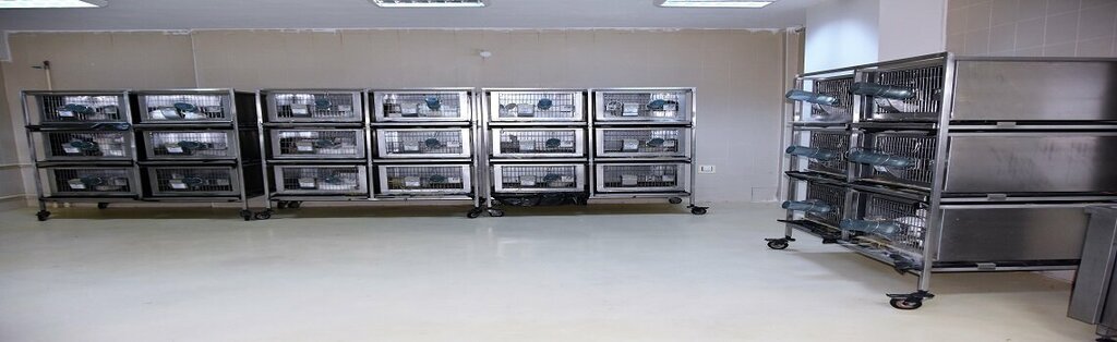 Hastaneler Ondokuz Mayıs Üniversitesi Deney Hayvanları Uygulama ve Araştırma Merkezi, Atakum, foto