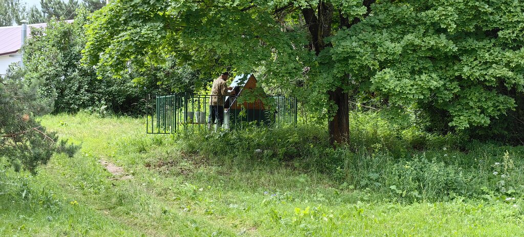 Kuyu Well, Smolenskaya oblastı, foto