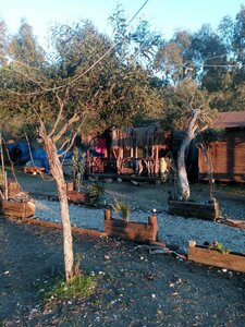 The Camp Fethiye (Muğla, Fethiye, Çiftlik Mah., Kumsal Sok., 29), pansiyonlar, hosteller  Fethiye'den