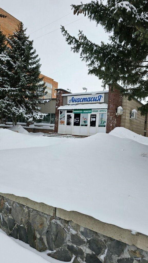 Mini-market Anastasia, Öskemen (Ust‑Kamenogorsk), foto