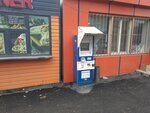 Qiwi (Shymkent, Ádirbekov kóshesi), ödeme terminali  Çimkent'ten (Şımkent'ten)