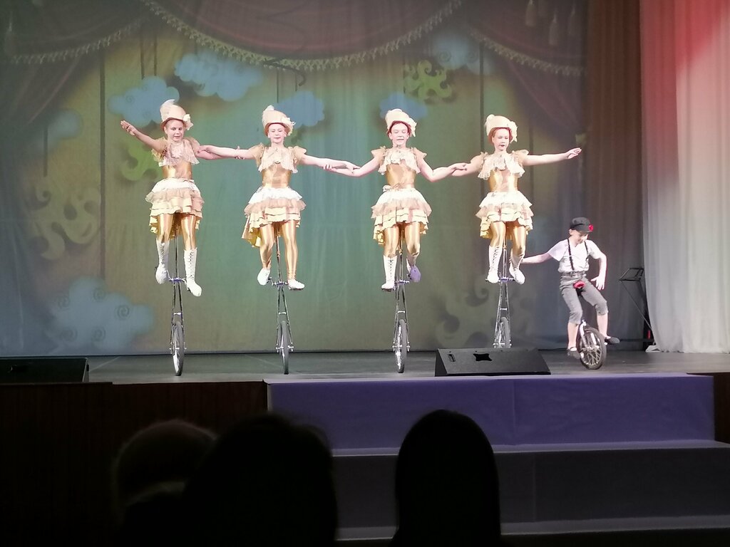 Çocuk ve gençlik merkezleri Детский образцовый цирк Весар, Arhangelsk, foto