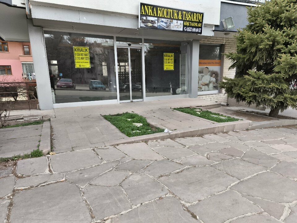 Manavlar Şen Market Ve Çiçekçilik, Ankara, foto