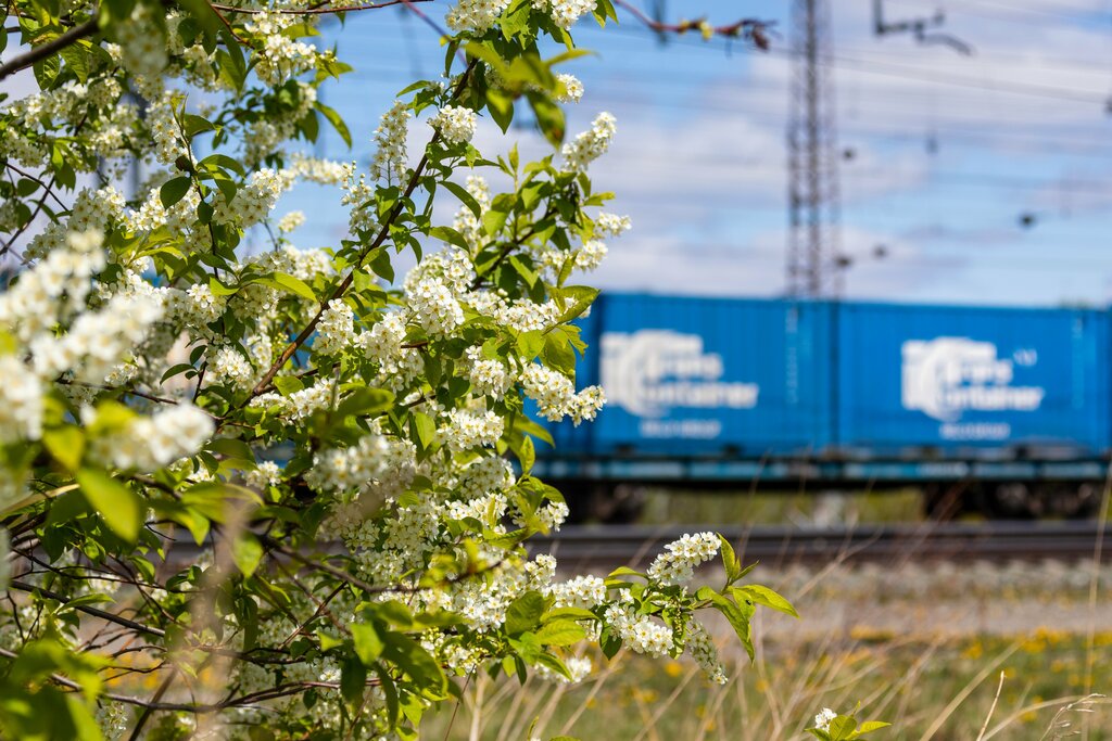 Konteyner nakliyatı TransContainer, Nijnevartovsk, foto