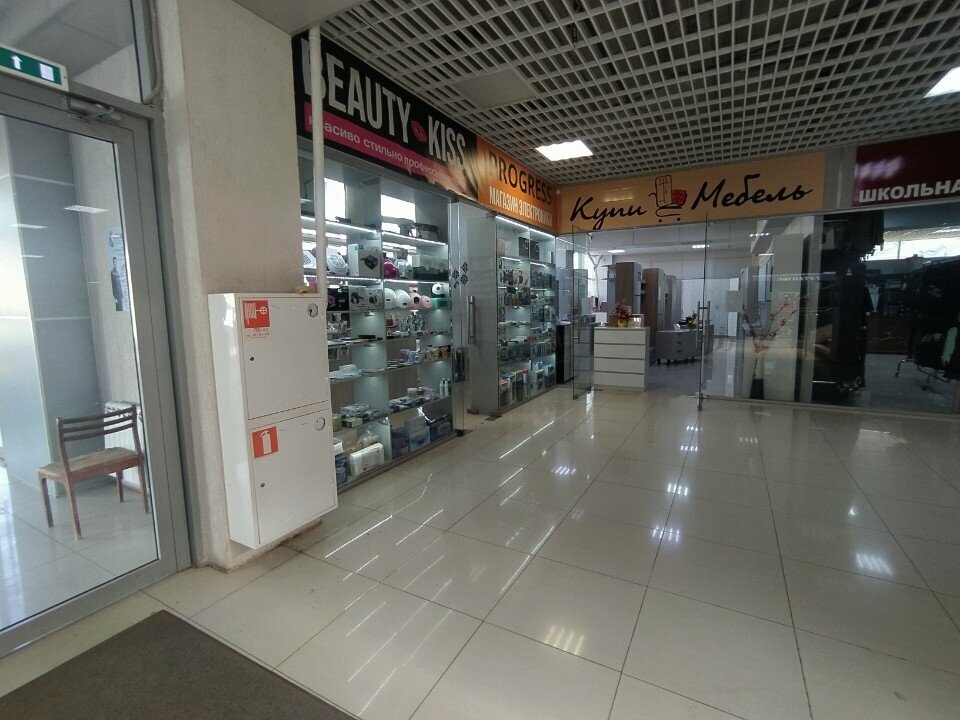 Elektronik cihaz ve parça firmaları Progress, Saransk, foto