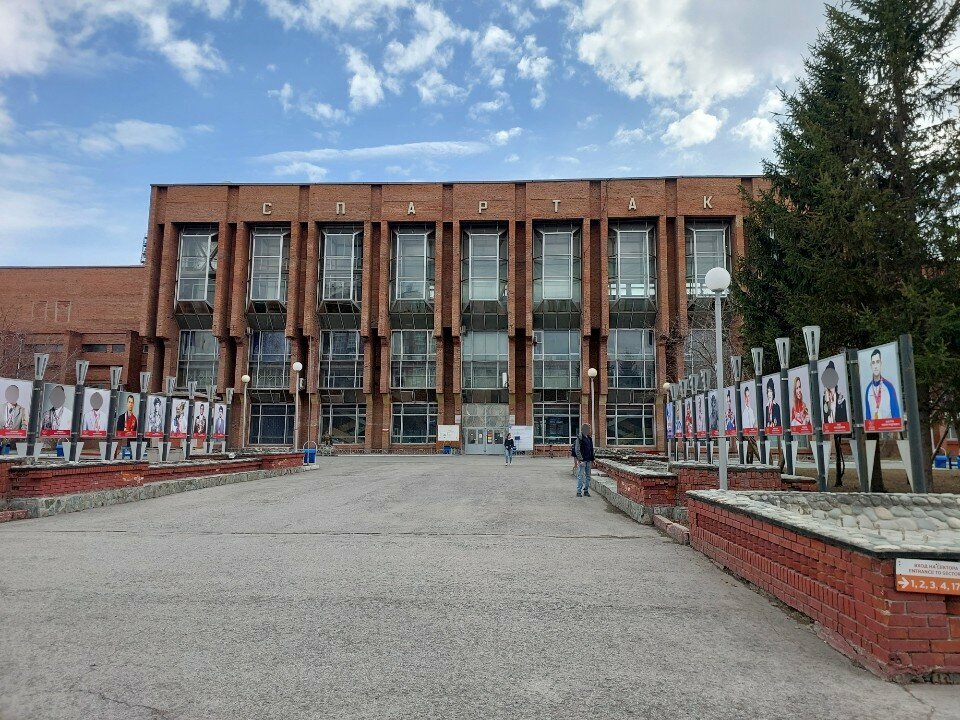 Spor okulları Sport Chess School, Novosibirsk, foto