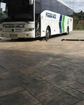 Fındıkkale Turizm (Şerifali Mah., Miras Sok., No:30, Ümraniye, İstanbul), otobüs taşımacılığı  İstanbul'dan