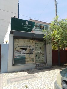 Elsmmar (Luanda Province, Municipality of Luanda, Maculusso), epilasyon  Loanda'dan