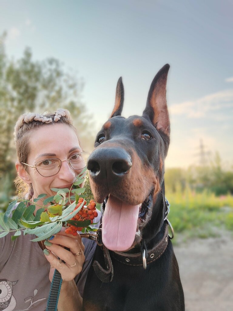 Pet otel Sunny Dog, Perm, foto