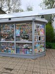 Печать Твери (Schmidt Boulevard No:35), gazete bayi  Tver'den