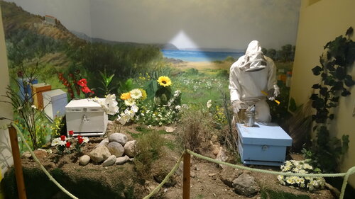 Müzeler ve sanat galerileri Bee Museum, Dünya, foto