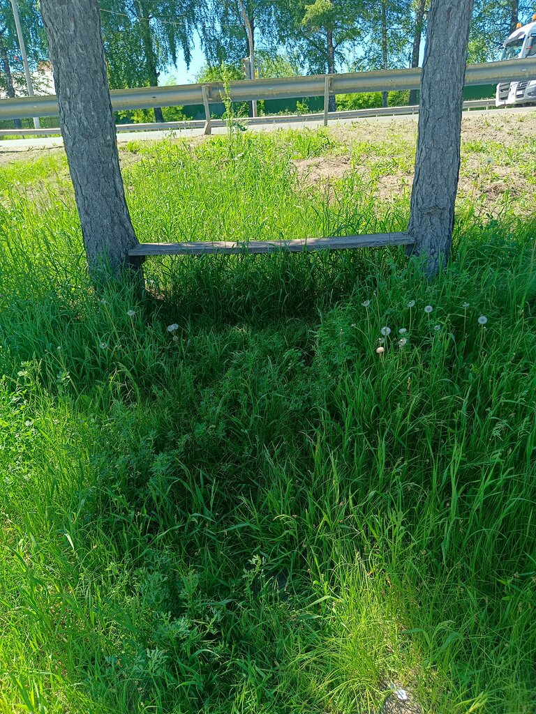 Bank Bench, Çuvaşya, foto