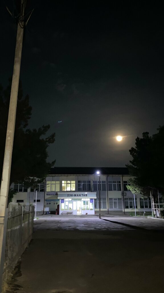 Ortaokul Secondary school № 236, Taşkent, foto