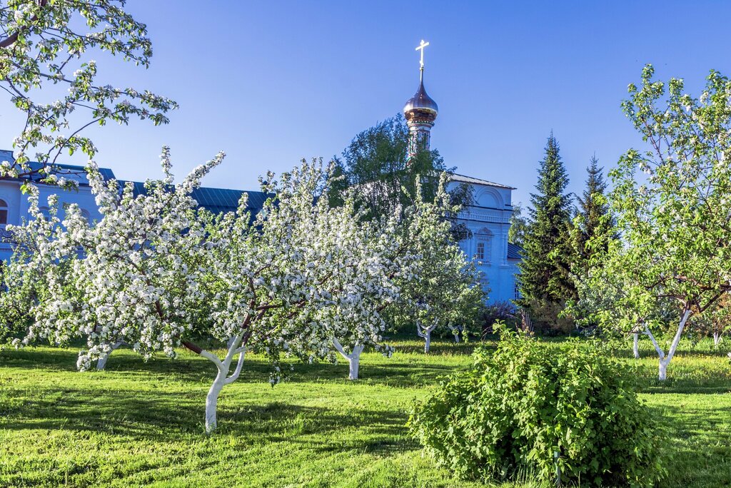 Manastır Transfiguration Monastery, Kirov, foto