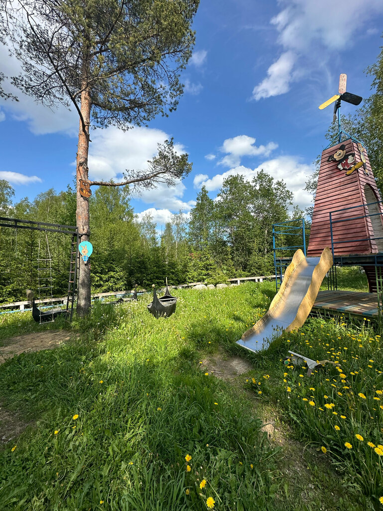 Oyun alanı Playground, Saint‑Petersburg ve Leningradskaya oblastı, foto