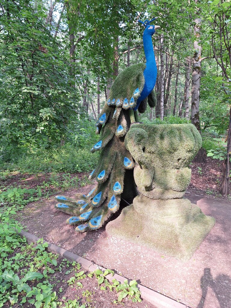 Park, sokak heykeli Павлин, Himki, foto