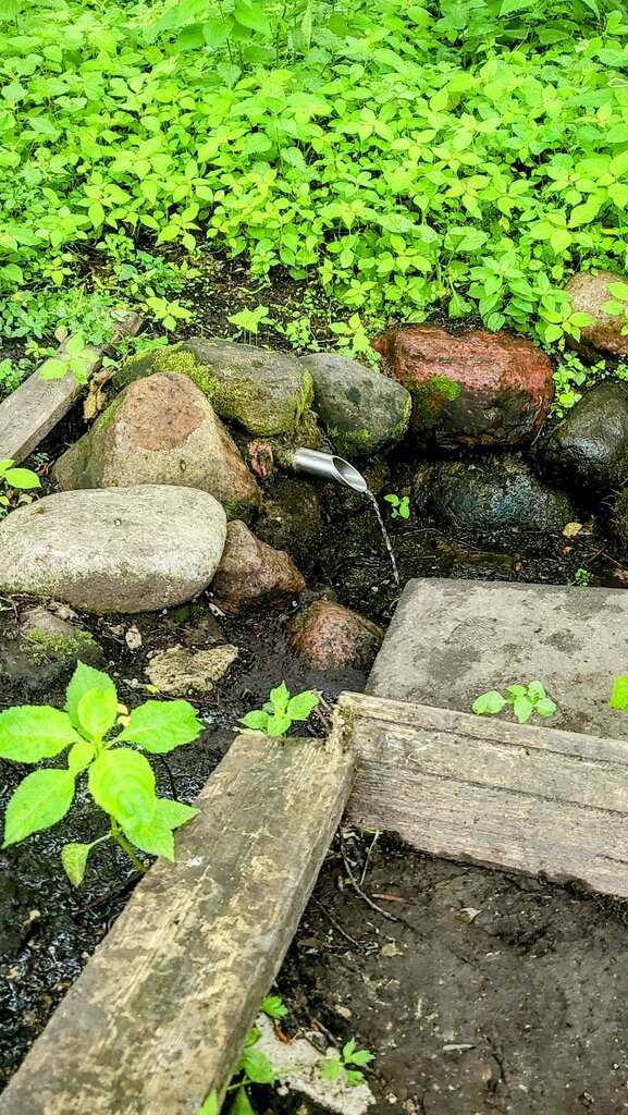Pınar, çay Spring, stream, Moskova, foto