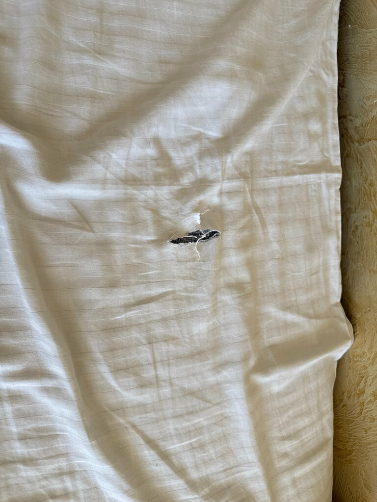 Otel Aizat, Doğu Kazakistan eyaleti, foto