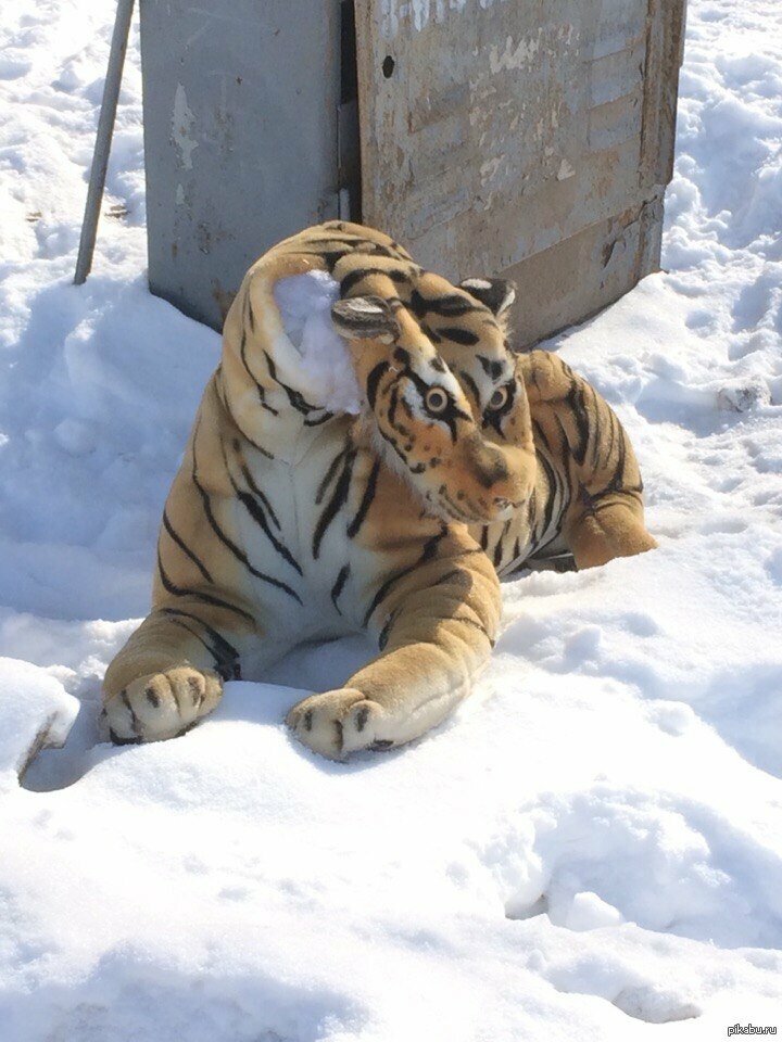 Park, sokak heykeli Рысь и детёныши, Voronej, foto