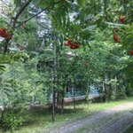 Dachnaya Rezidentsiya (Ratekhinskoye shosse No:1С), pansiyonlar, hosteller  Zvenigorod'dan