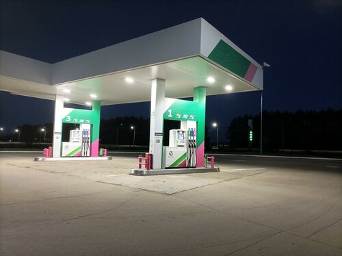 Benzin istasyonu Башнефть, Udmurtiya, foto