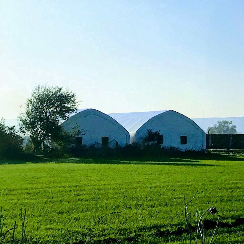 Mantar yetiştirme ve satış Akçağ Mantarcılık, Çatalca, foto