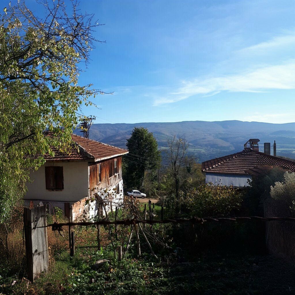 Muhtarlıklar Ağacalar Köy Muhtarlığı, Mengen, foto